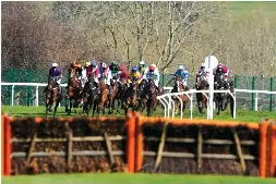 ‘Pivotal’ study on rider nutrition and exercise - PressReader