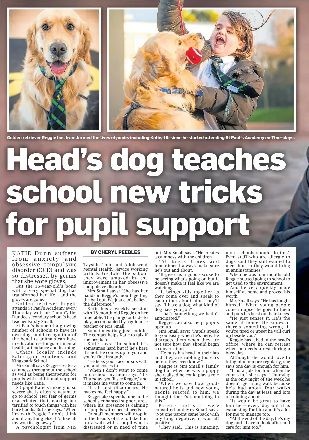 Head’s dog teaches school new tricks for pupil support - PressReader