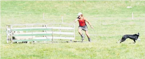 Deserved win for Pullen - PressReader