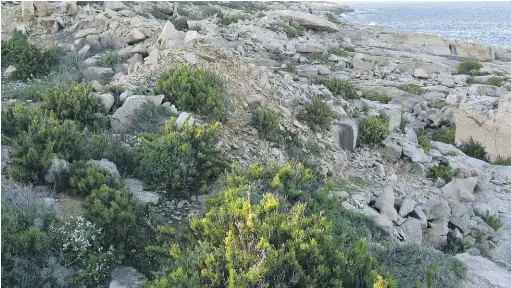 FAA says holding walls being built for illegal dumping at Ta’ Muxi ...