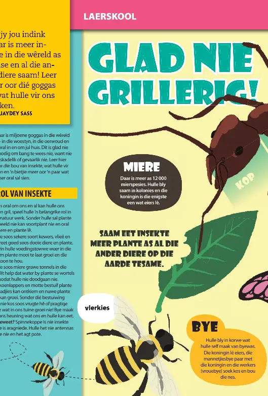 Jou kind en skool: - PressReader