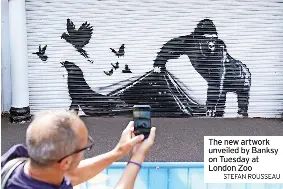Banksy goes wild with spree of animal artworks - PressReader
