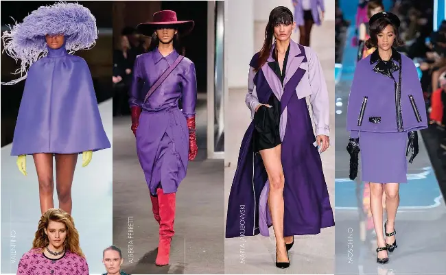 ¿POR QUÉ EL COLOR MORADO? - PressReader