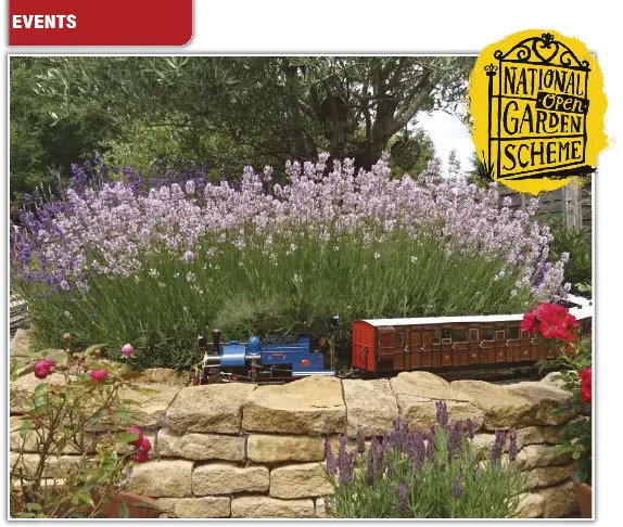 Hosting a garden open day - PressReader