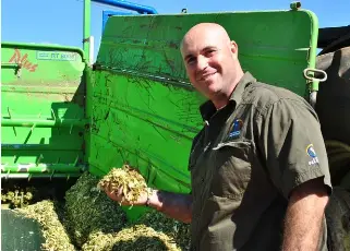 Animal nutrition: modern silage production yields better quality feed ...