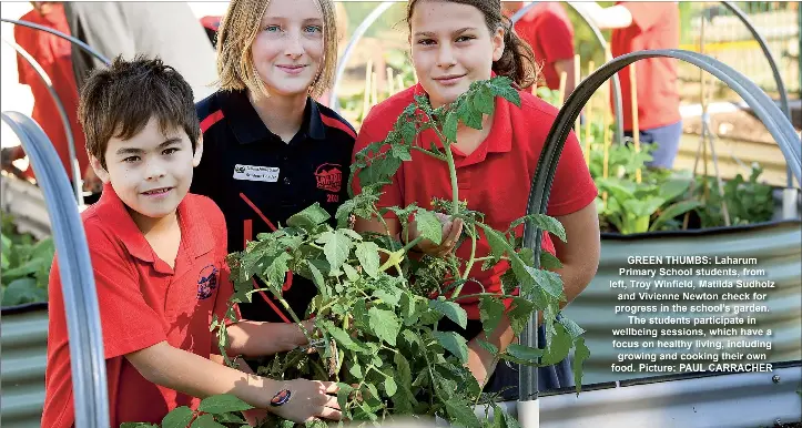 Region responds - PressReader