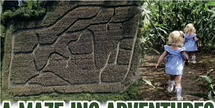 A-MAZE-ING ADVENTURES - PressReader