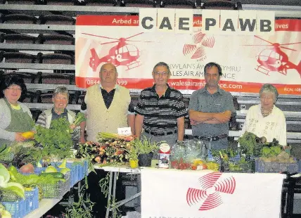 Cae Pawb allotments - PressReader