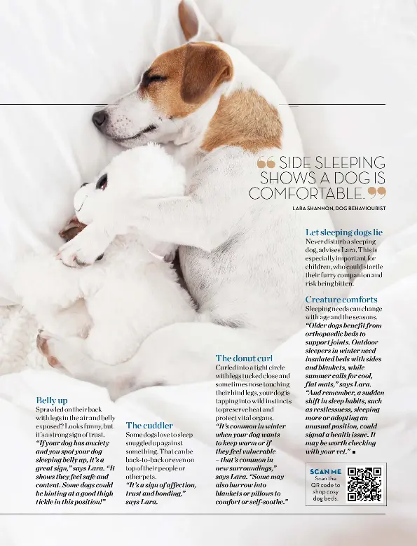 Dog nap decoder - PressReader