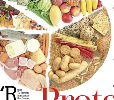 Protein Day 2023 - PressReader