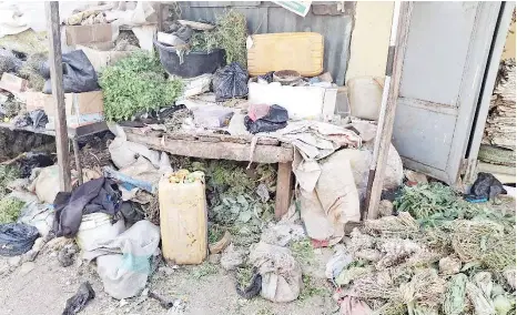 Inside Gombe’s herbal medicine market - PressReader