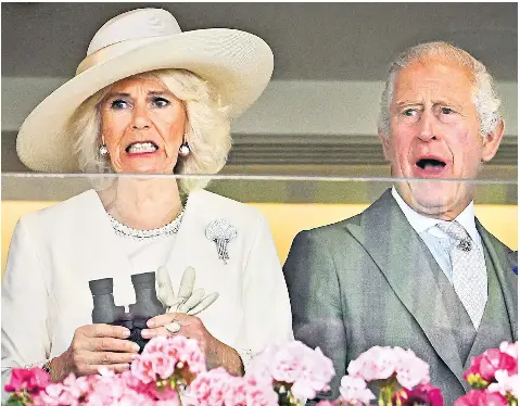 All the King’s horses - PressReader