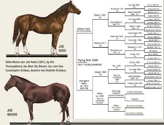 THE LOUISIANA STORY - PressReader