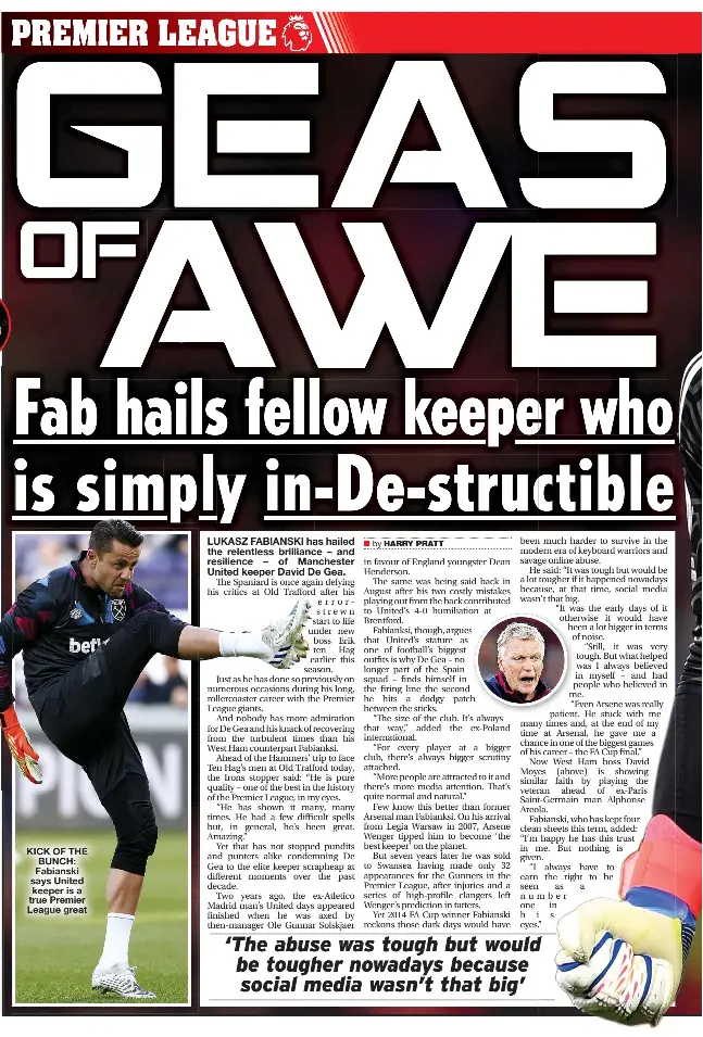 Fab hails fellow keeper who is simply in-De-structible - PressReader