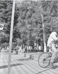 Torreón no se ha recuperado a 8 años de la helada negra - PressReader