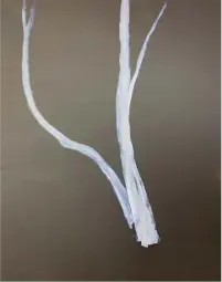 Demonstrat­ion - PressReader