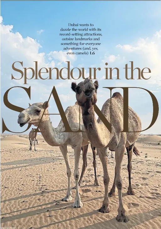 Splendour in the SAND - PressReader