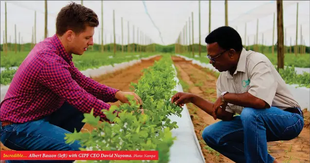 Youth not embracing agribusine­ss - PressReader