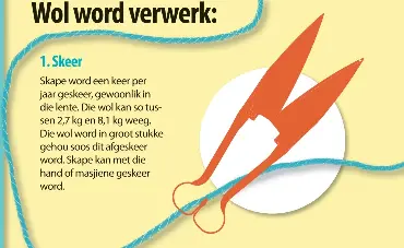 Wol word verwerk: - PressReader