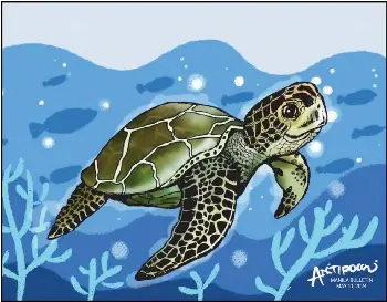 Ocean Month: Think blue, keep marine ecosystems healthy - PressReader