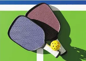 Pickleball a fast-growing sport - PressReader