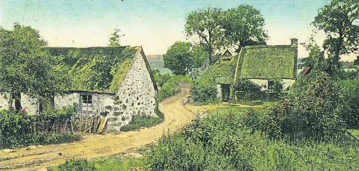 Memory Lane - PressReader