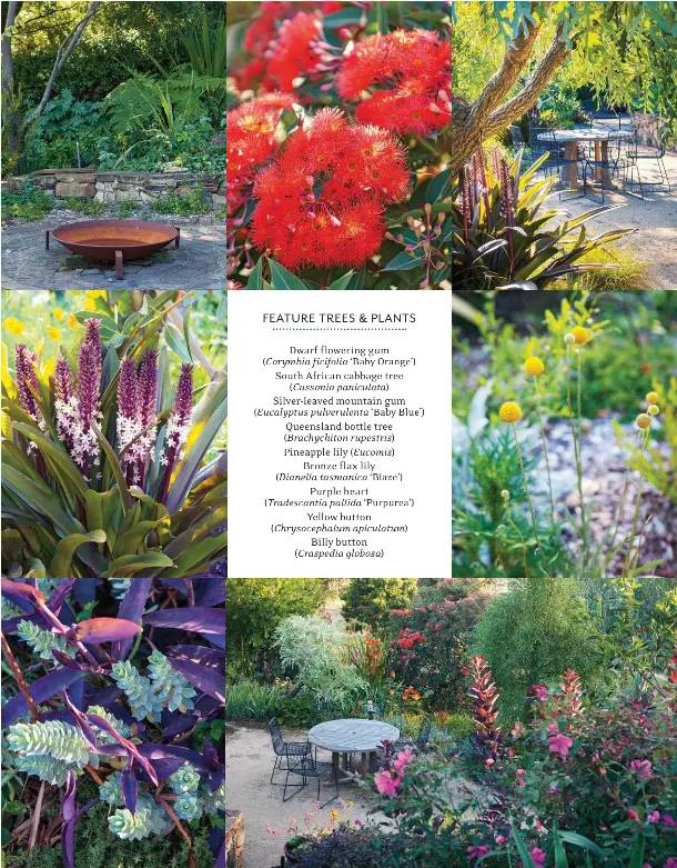 FEATURE TREES & PLANTS - PressReader