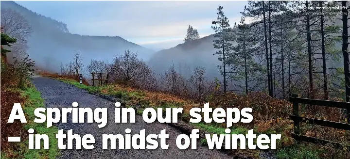 A spring in our steps – in the midst of winter - PressReader