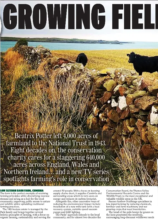 GROWING FIELDS OF DREAMS - PressReader