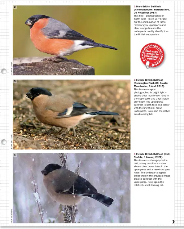 BASIC PRINCIPLES - PressReader