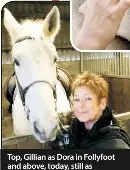 Where are they now? Follyfoot’s Gillian Blake - PressReader