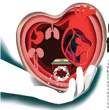 Desperate for organs, patients fall in touts’ trap - PressReader