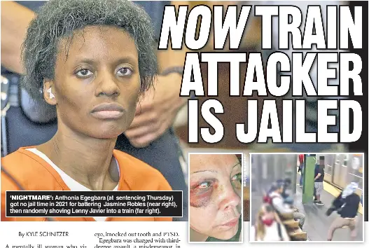 anxiety from the attack. Egegbara’s attorney, Adam Mehrfar, said his ...