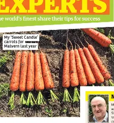 Start sowing your carrots! - PressReader