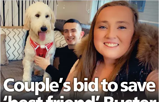 Couple’s bid to save ‘best friend’ Buster - PressReader