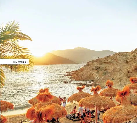 FESTIVAL FAVOURITE - PressReader