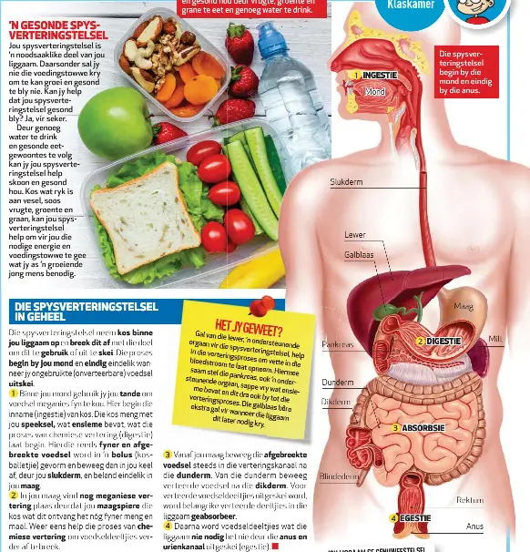 HETJYGEWEE­T? - PressReader