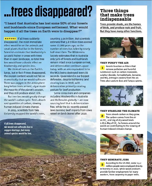 ...trees disappeare­d? - PressReader