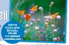 Ask Mitchell - PressReader