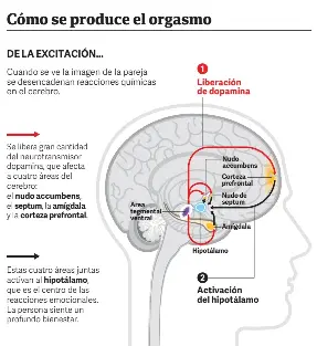 Encuesta sobre el misterio del orgasmo femenino - PressReader