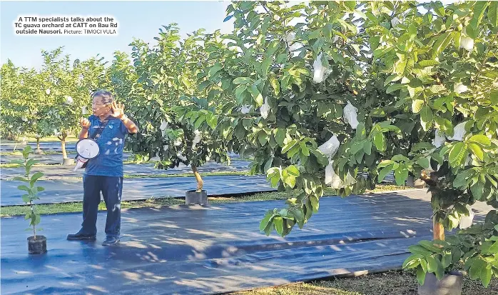 Smart farming for Fiji - PressReader