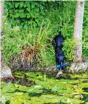 Time to make a splash - PressReader