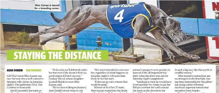 STAYING THE DISTANCE - PressReader