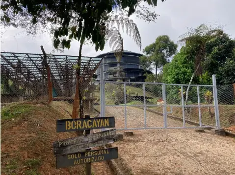 ‘Their chemistry made one of their deaths inevitable’: how a billionair ...