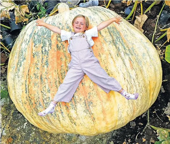Gourd lord, it’s a monster – UK record breaker a double effort - PressReader