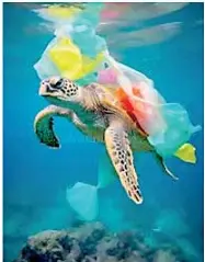 Goodbye Plastic - PressReader