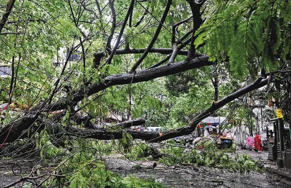 At least 16 dead after cyclone batters Bangladesh, India - PressReader