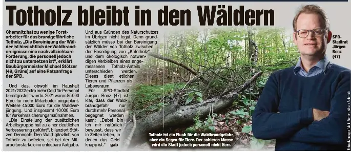 Totholz bleibt in den Wälde - PressReader