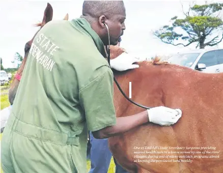 ANIMAL HEALTH IS ONE OF DRDAR’S PRIORITIES - PressReader