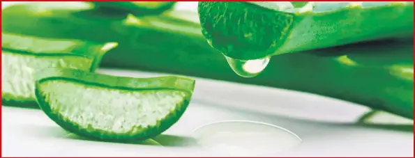 Iyisixazul­ulo kokuningi inhlaba - PressReader